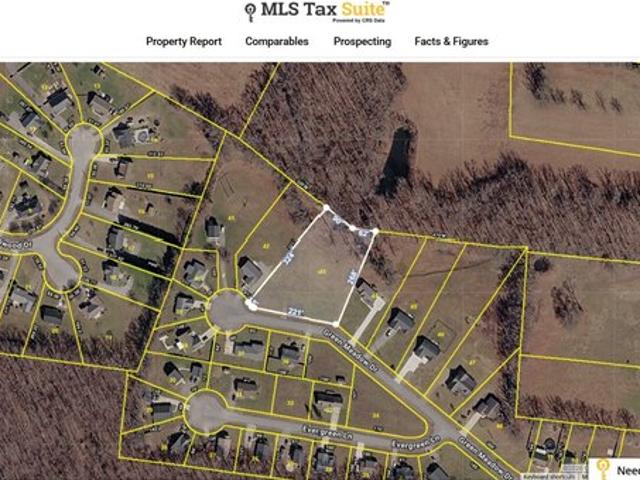 Green Meadow Dr, Smithville, TN 37166