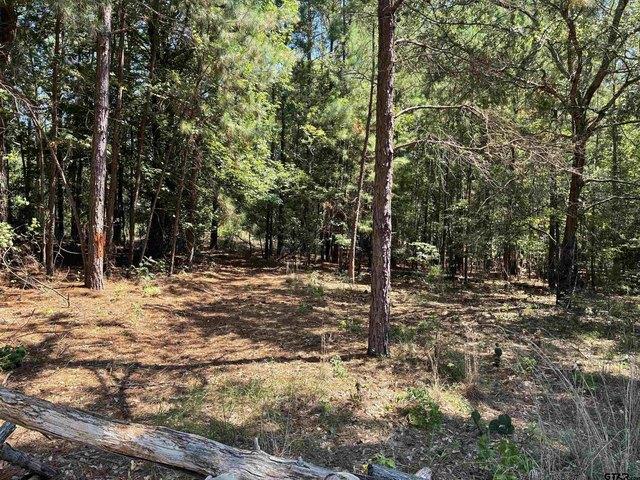 Green Meadow Trl Lot 195, Holly Lake Ranch, TX 75765