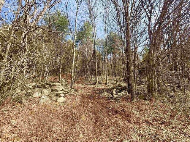 Green Mountain Tpke Lot,chester, Plot For Sale