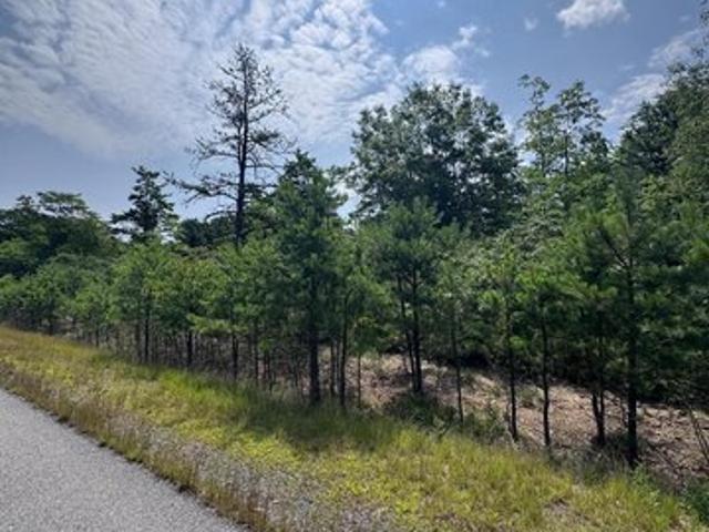 Green Mountain Dr, Hazle Township, PA 18202