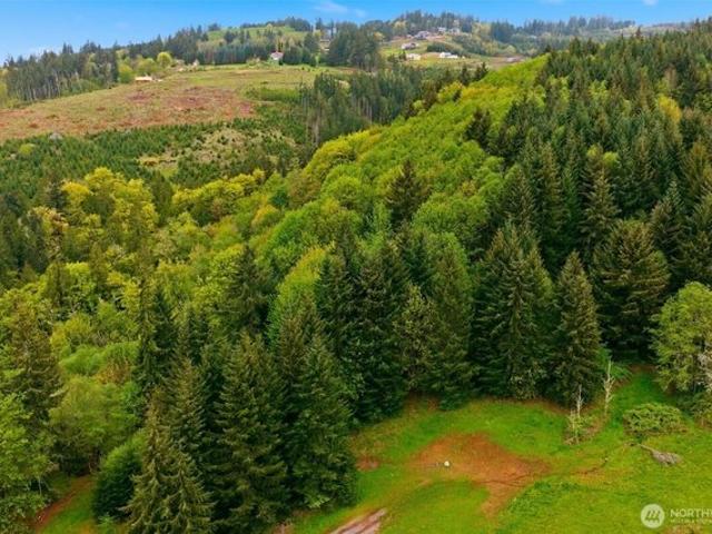 Green Mountain Rd, Kalama, WA 98625