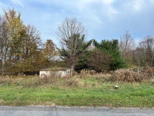Green Rd, Dansville, Plot For Sale