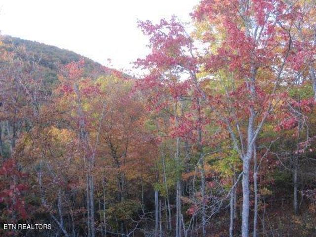 Green Ridge Trail Lot #2, Harriman, TN 37748