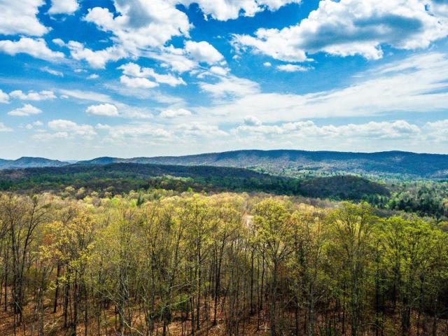 Green Ridge Trails Lot #7, Harriman, TN 37748