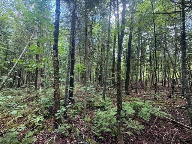Green Ridge Rd, Caribou, Plot For Sale