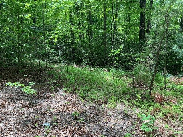 Green River Cove Rd, Saluda, NC 28773