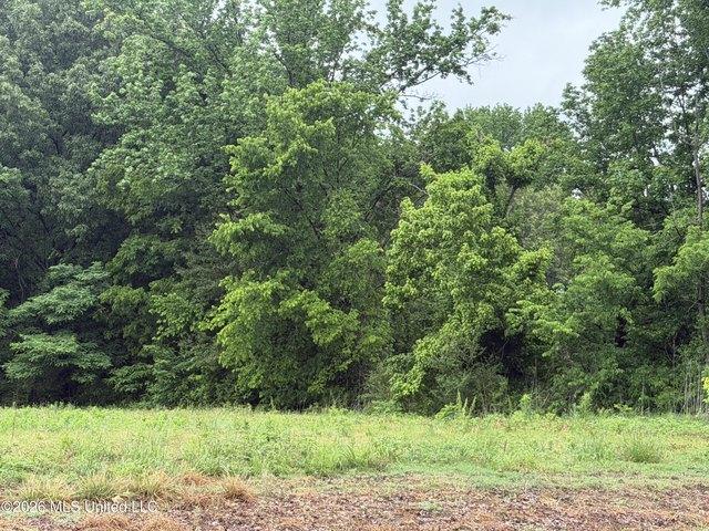 Green River Rd Lot 3, Lake Cormorant, MS 38641