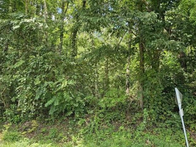 Green Spring Rd, Abingdon, Plot For Sale