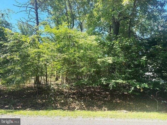 Greenbackville VA 23356 104901231