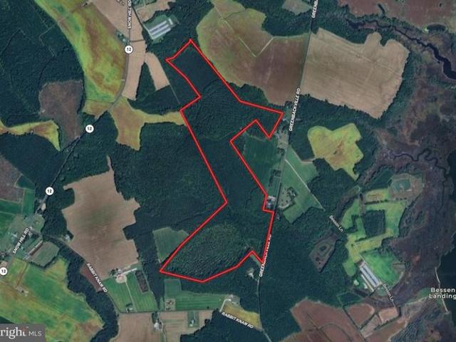 Greenbackville Rd, Stockton, MD 21864