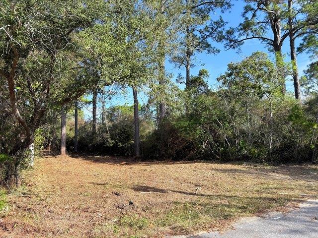 Greenbriar Ln Lot 24, Santa Rosa Beach, FL 32459