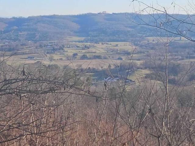 Greene Lane E Of, LaFollette, TN 37766