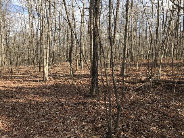 Greenfields Way N Lot 13A, Dunlap, TN 37327
