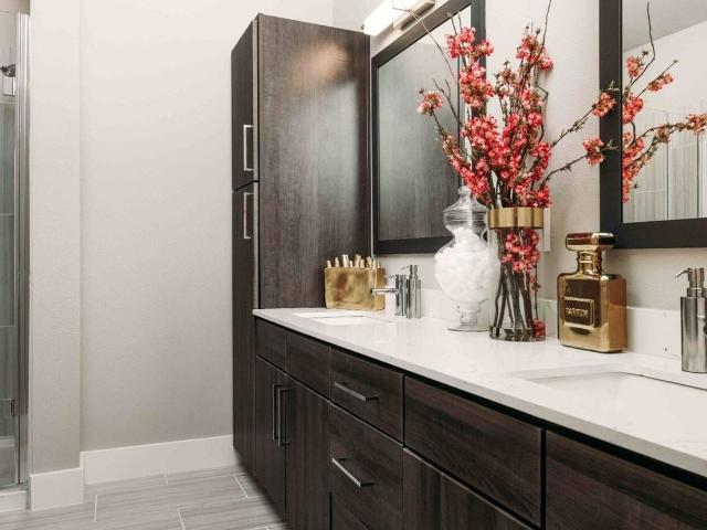 Greenhouse 2 Bedroom Apartment for Rent at 2040 Greenhouse Rd, Houston, TX 77084 Addicks Park Ten