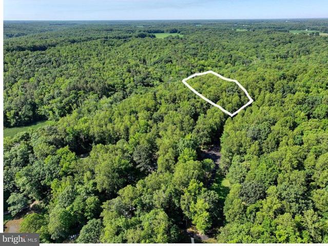 Greenpoint Landing Rd Lot 18, Montross, VA 22520