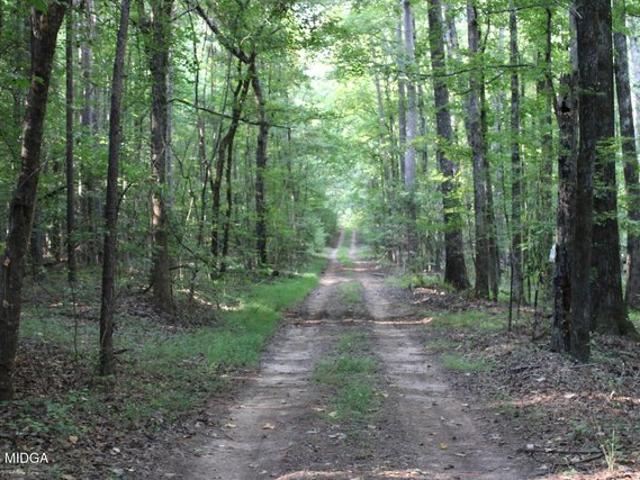 Greensboro Rd NW, Union Point, GA 30669