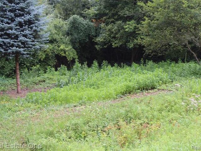 Greensboro Way Lot 149, Butman Township, MI 48624