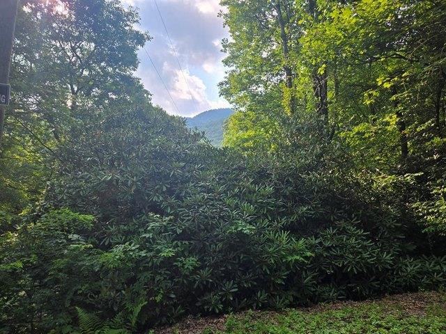 Greenspire Rd, Sylva, NC 28779