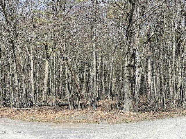 Greentown PA 18426 104899031