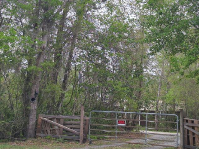 Greentree Road