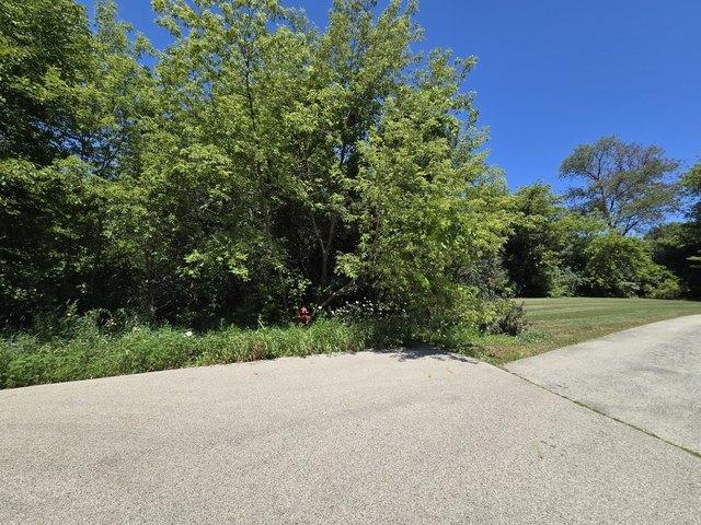 Greenview Ave Lot 2, Park City, IL 60085