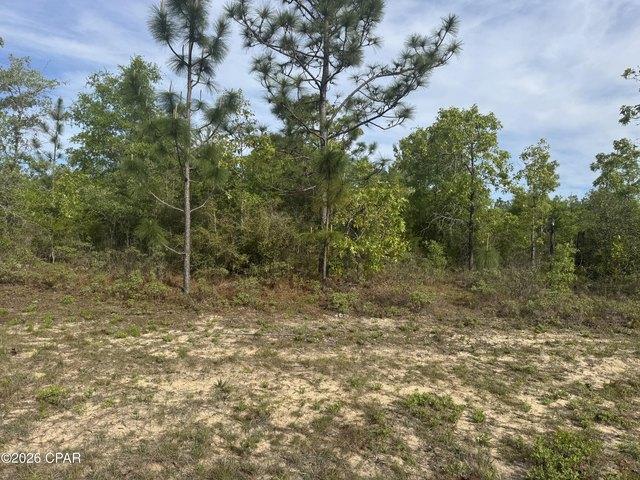 Greenview Dr, Chipley, FL 32428