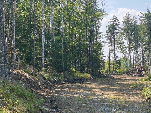 Greenville ME 04441 LS103034816