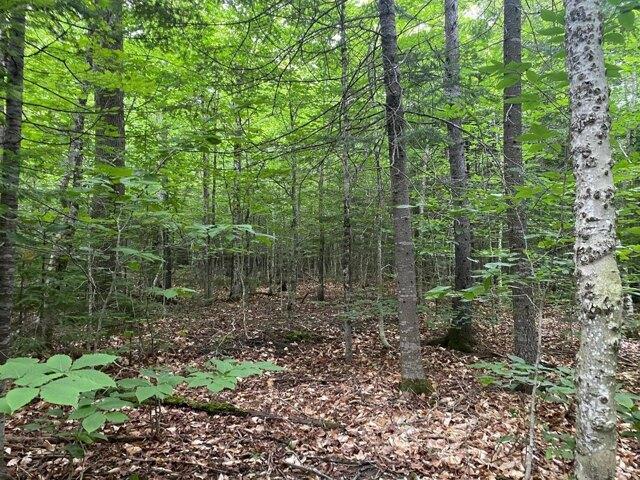 Greenville ME 04441 103497792