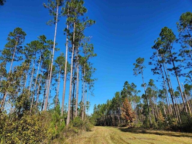 Greenville FL 32331 88360673