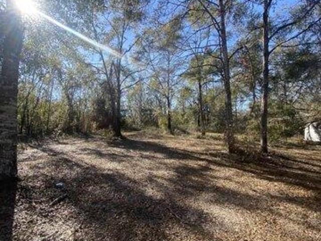 Greenville FL 32331 88396828