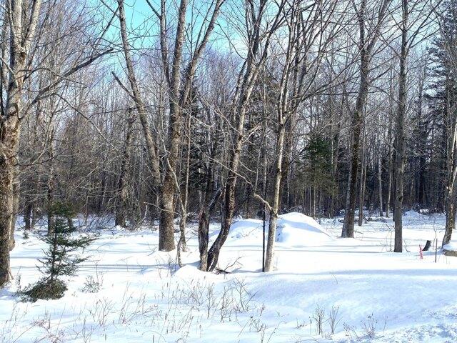 Greenville Rd Lot,shirley, Plot For Sale
