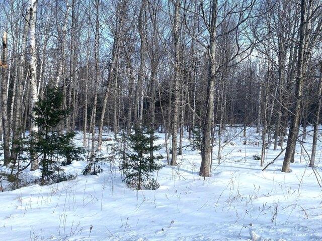 Greenville Rd Lot,shirley, Plot For Sale