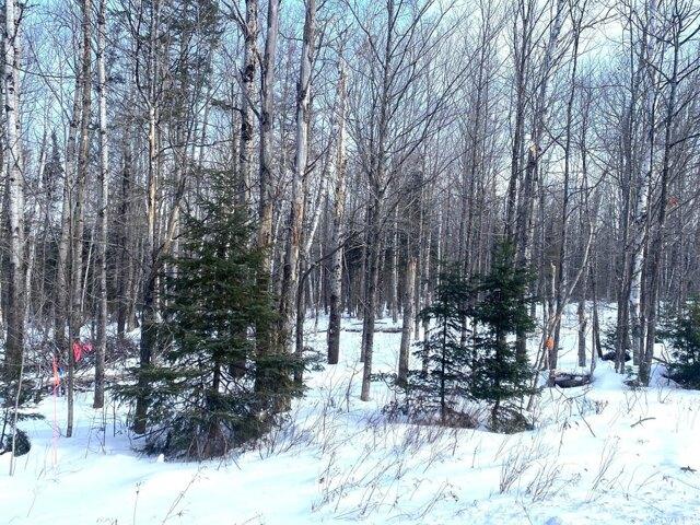 Greenville Rd Lot,shirley, Plot For Sale