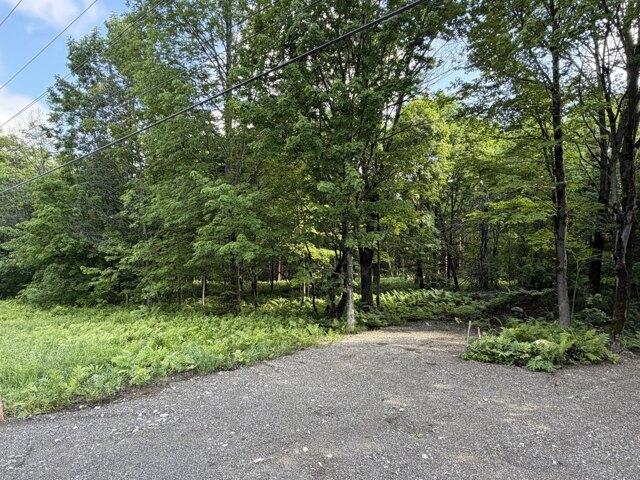 Greenville Rd Lot,shirley, Plot For Sale