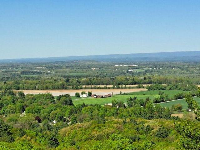 Greenwich NY 12834 103621917