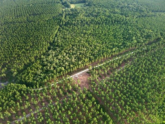 Greenwood, Adams Run, SC 29426