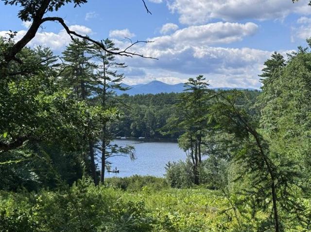 Greenwood Dr, Lovell, Home For Sale