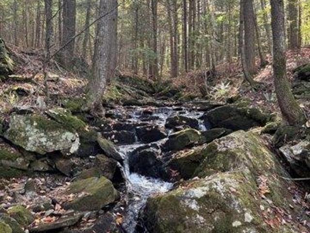 Greenwood ME 04255 LS102061097