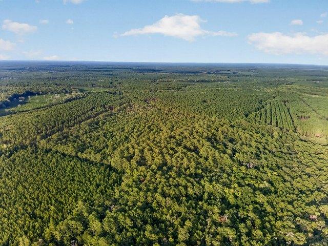 Greenwood Rd, Adams Run, SC 29426