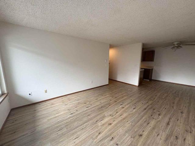 Greenwood Vista Apartments 1 Bedroom Apartment for Rent at 11541 Greenwood Ave N, Seattle, WA 98133 Broadview