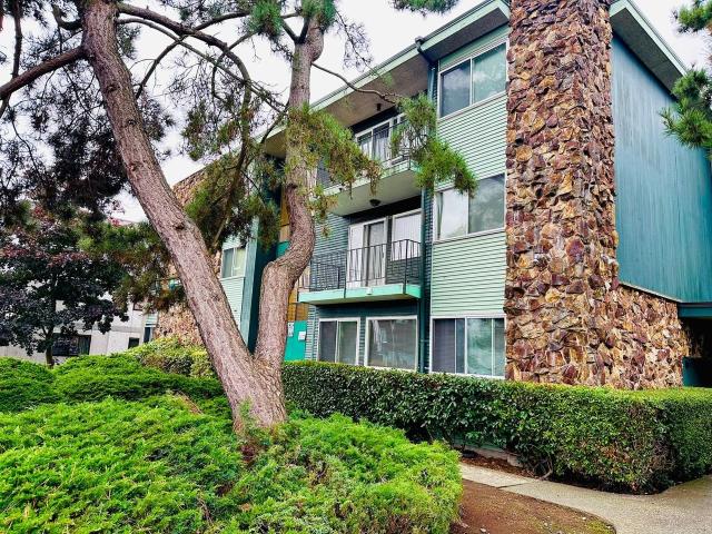 Greenwood Vista Apartments 1 Bedroom Apartment for Rent at 11541 Greenwood Ave N, Seattle, WA 98133 Broadview