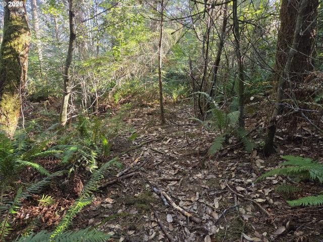 Greggs Creek RD # 300