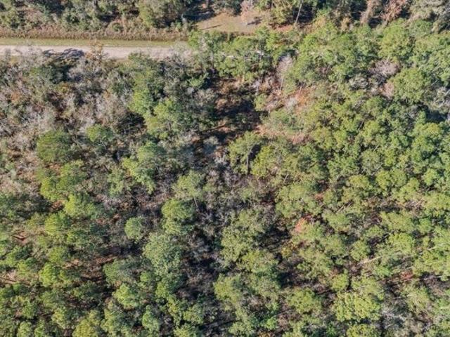 Gregory Ave, Hastings, Plot For Sale