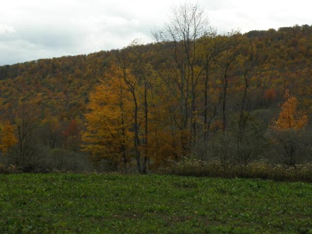 Gregory Hollow Road