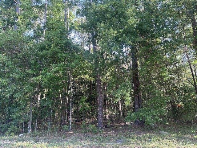 Gregory St, Moss Point, MS 39563