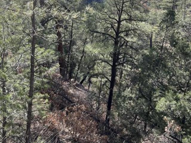 Gresswell Rd Lot 96, Ruidoso, NM 88345