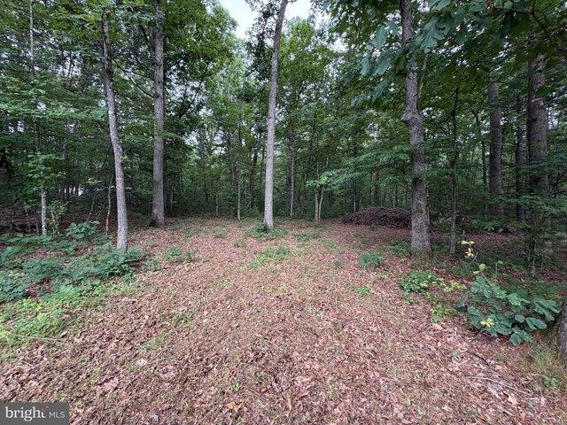Grizzly 2AC Rd Lot 8, Mathias, WV 26812