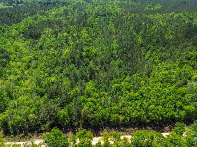 Grider Mock Rd, Red Level, AL 36474