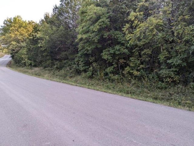 Grier Branch Rd Lot 4, Strafford, MO 65757