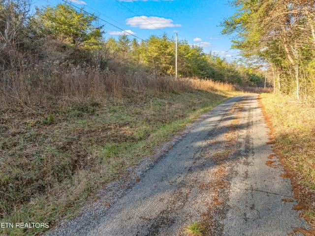 Grievers Chapel Rd, Rockwood, TN 37854